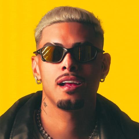 Dally - MC N10 - Palco MP3